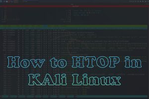 How To Install Apache on Kali Linux | Apache Web Server