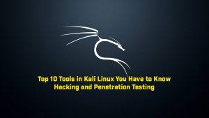 Top 10 Kali Linux Tools for Hacking and Penetration Testing - TECH DHEE